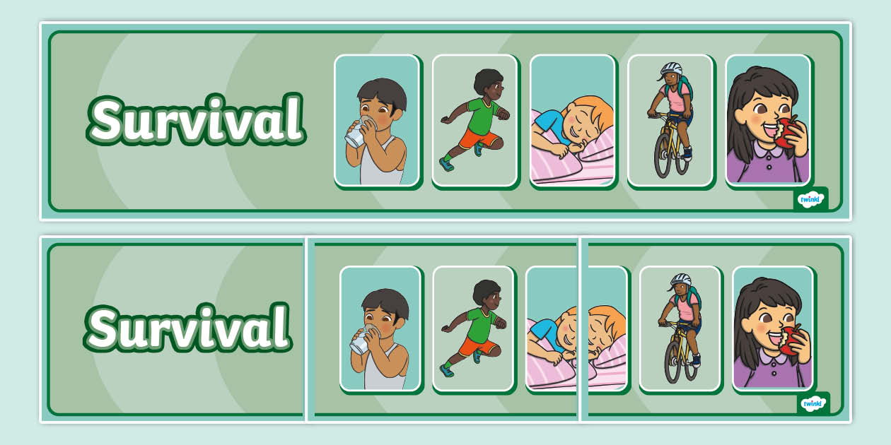 KS1 Survival Display Banner (teacher made) - Twinkl