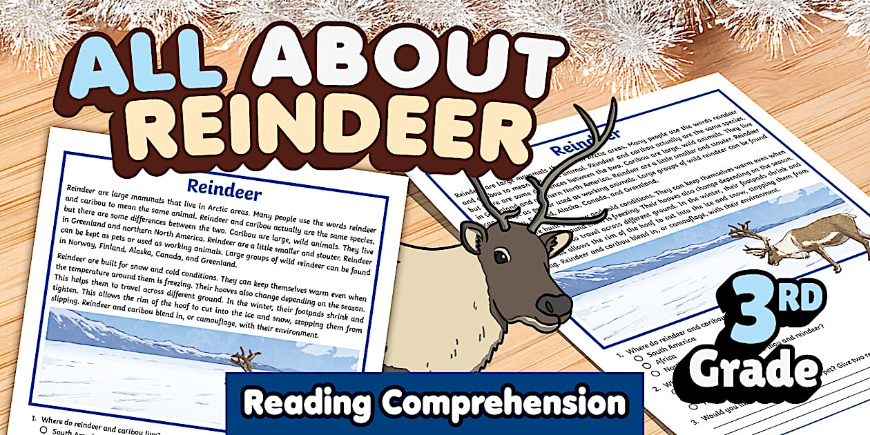 3rd Grade Reindeer Trivia Questions Worksheet | Twinkl USA