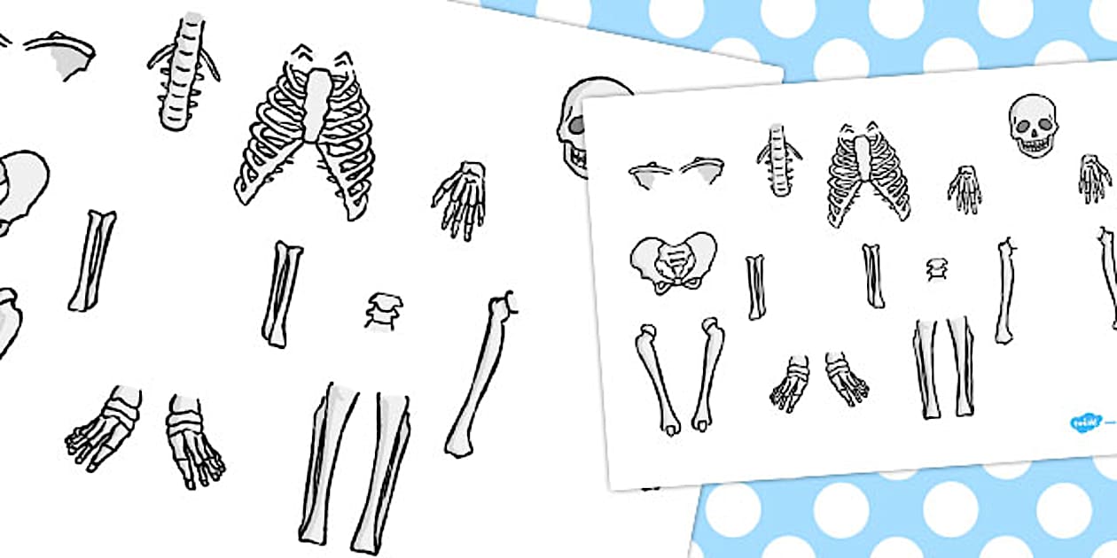 Skeleton Cut Out (teacher made) - Twinkl