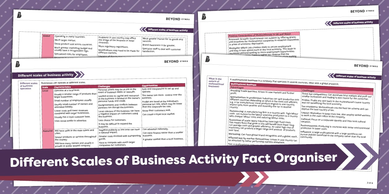 Different Scales of Business Activity Fact Organiser