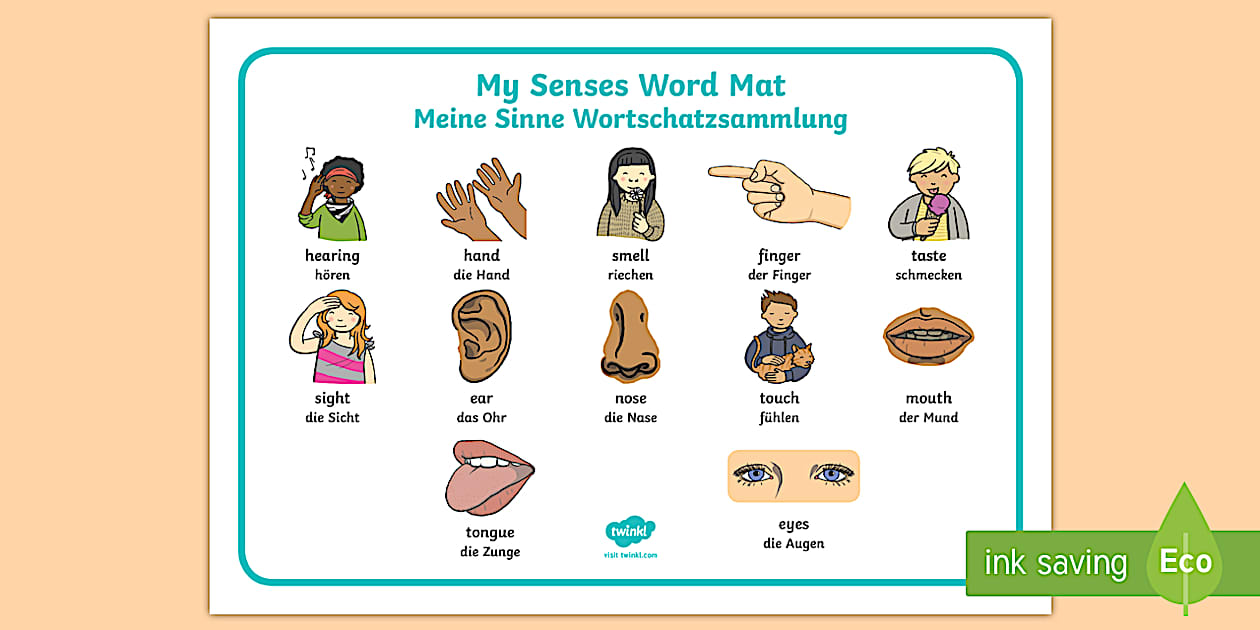 Black and White My Senses KS1 Body Parts Word Mat English/German