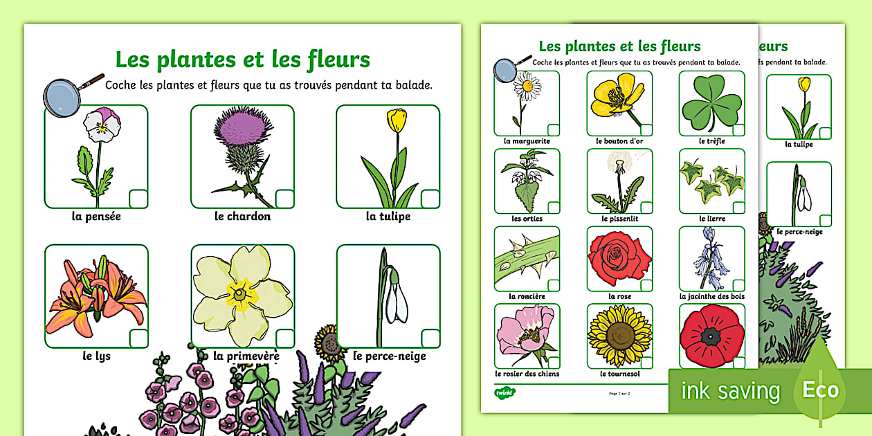 Fiche d'activités : Les plantes et les fleurs - Twinkl