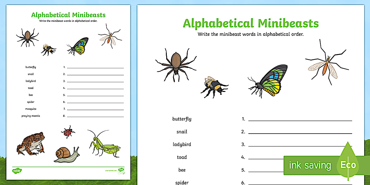 Minibeasts Alphabet Ordering Worksheet (teacher made)