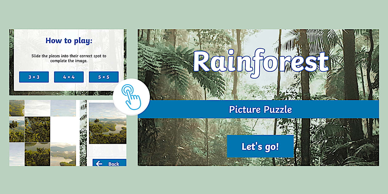 Rainforest Interactive Slider Puzzle (teacher made) - Twinkl