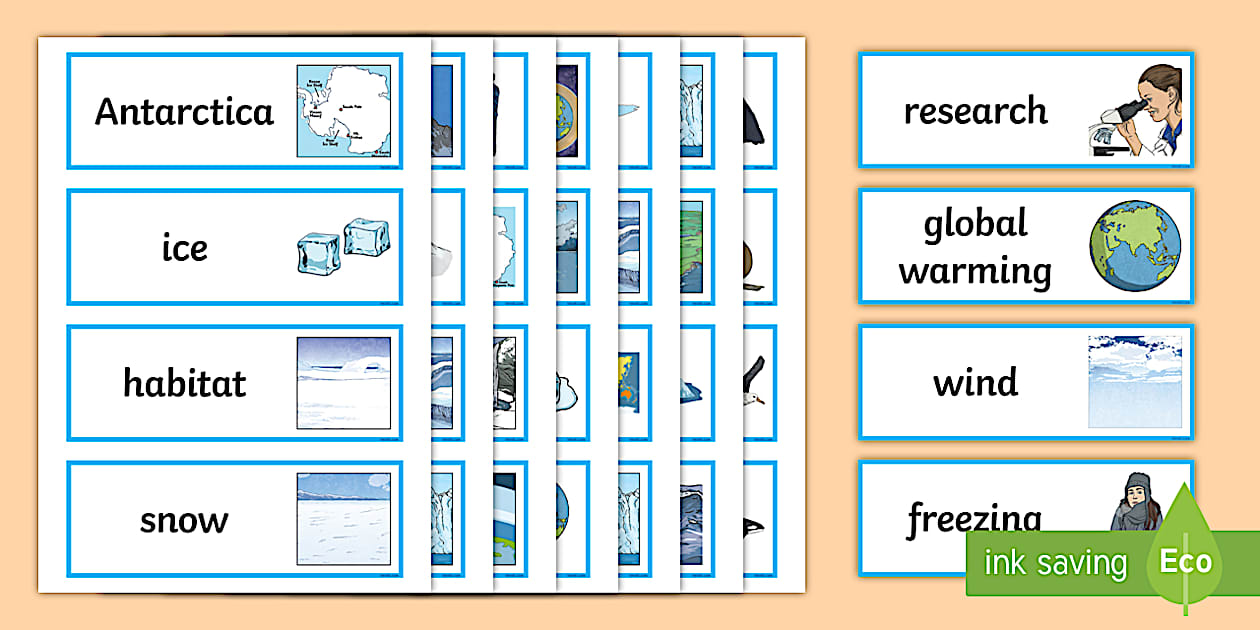 Editable Antarctica Word Cards (teacher made) - Twinkl