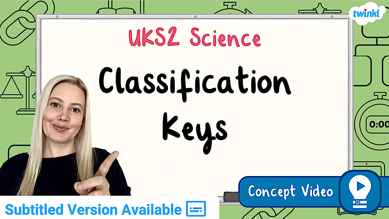 Classification Keys | UKS2 Science Concept Video - Twinkl