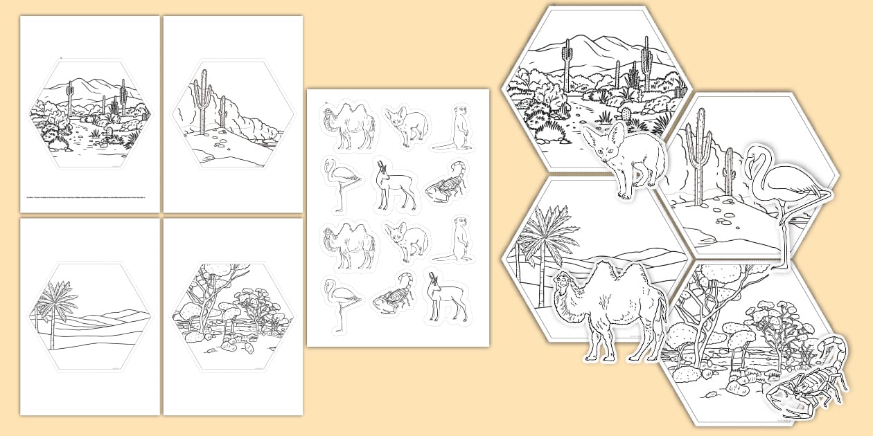 Desert Animals Hexagon Display Coloring Activity