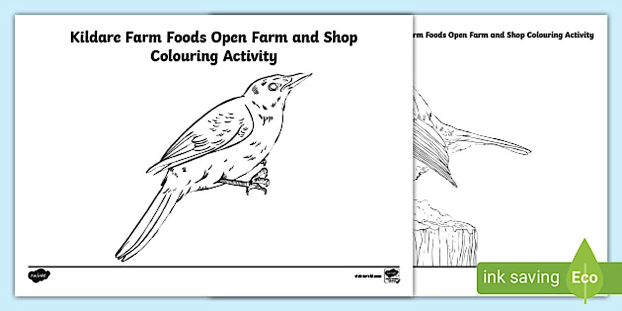 Kildare Farm Foods Open Farm and Shop Colouring Activity