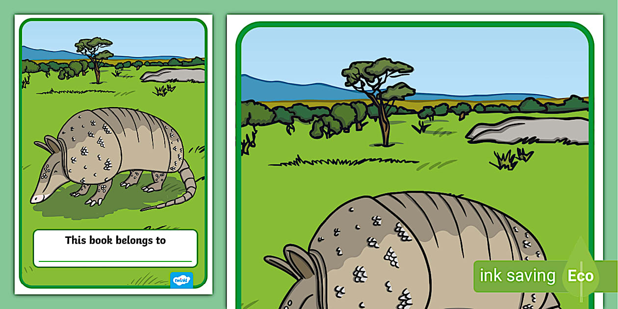Armadillo Themed Book Cover (teacher made) - Twinkl