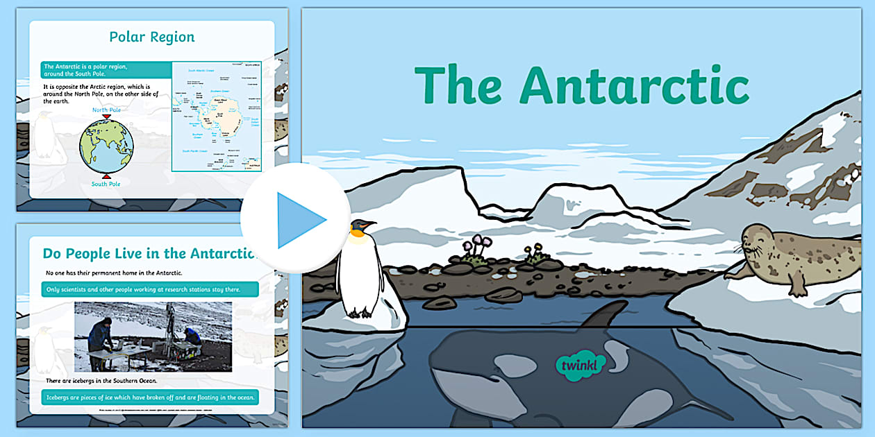 The Antarctic PowerPoint (teacher made) - Twinkl