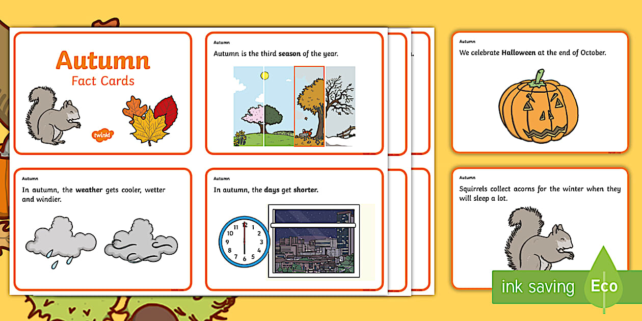 Autumn Fact Cards (professor feito) - Twinkl