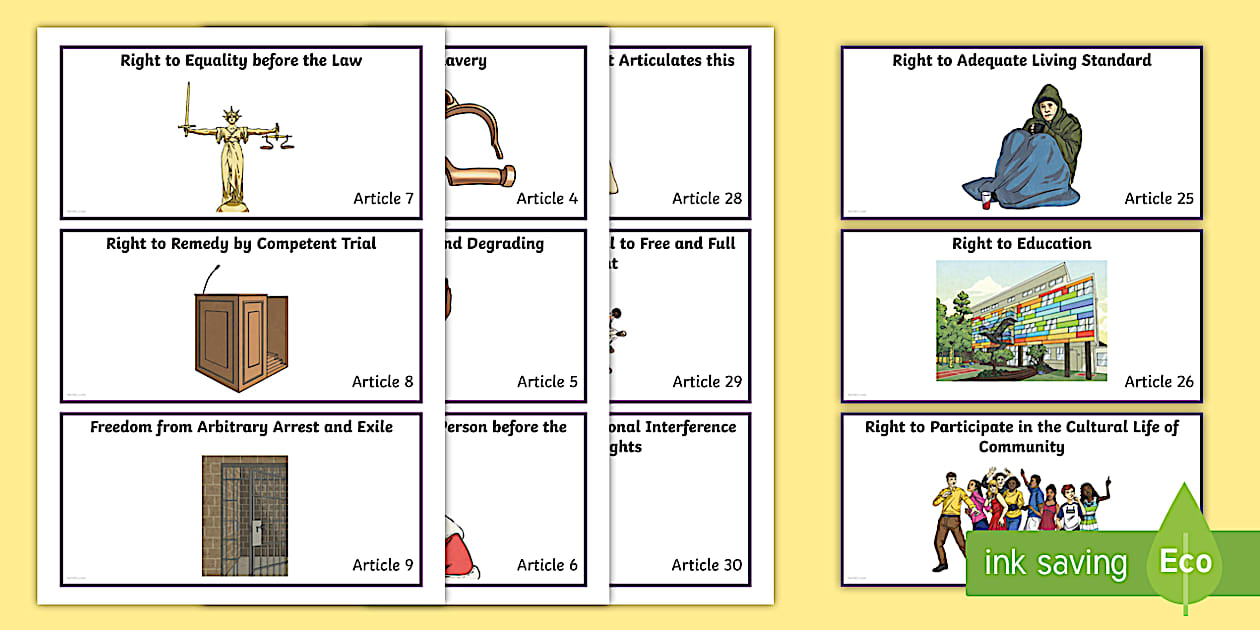 Human Rights (Abbreviated) Display Labels (teacher made)