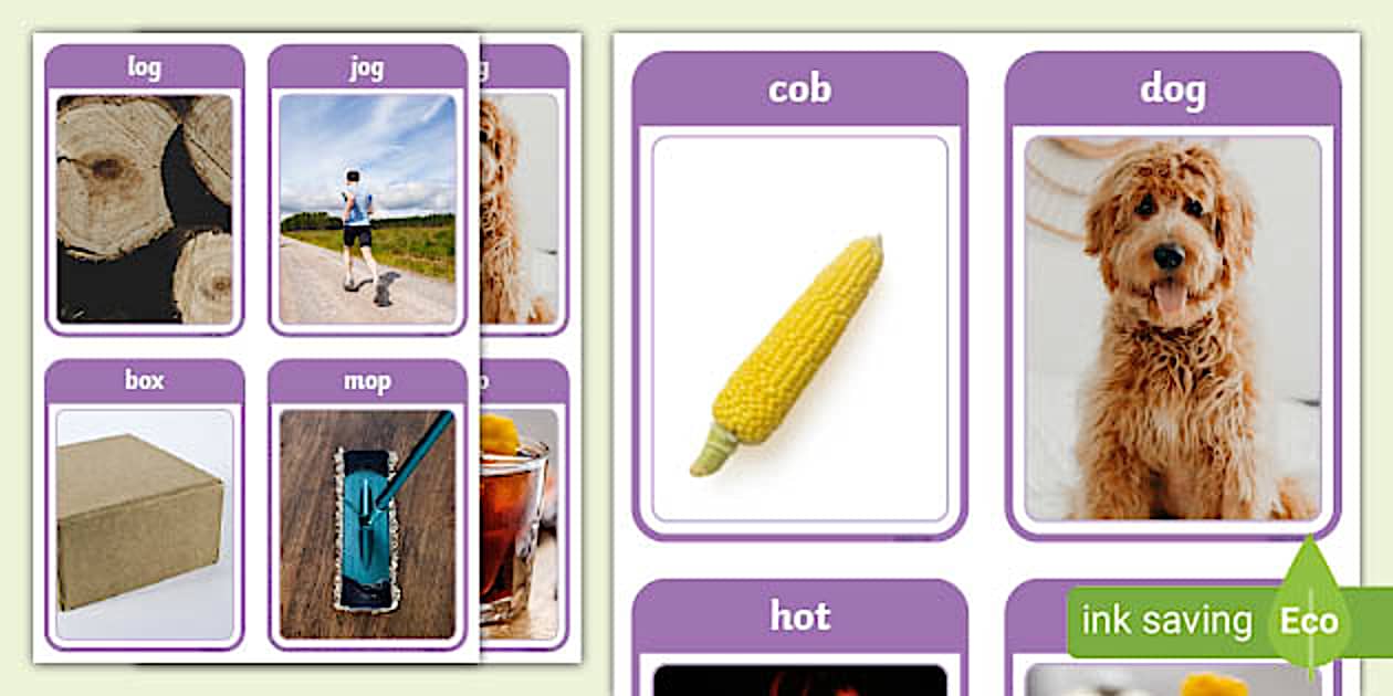 Cursive CVC Photo Word Cards o (professor feito) - Twinkl