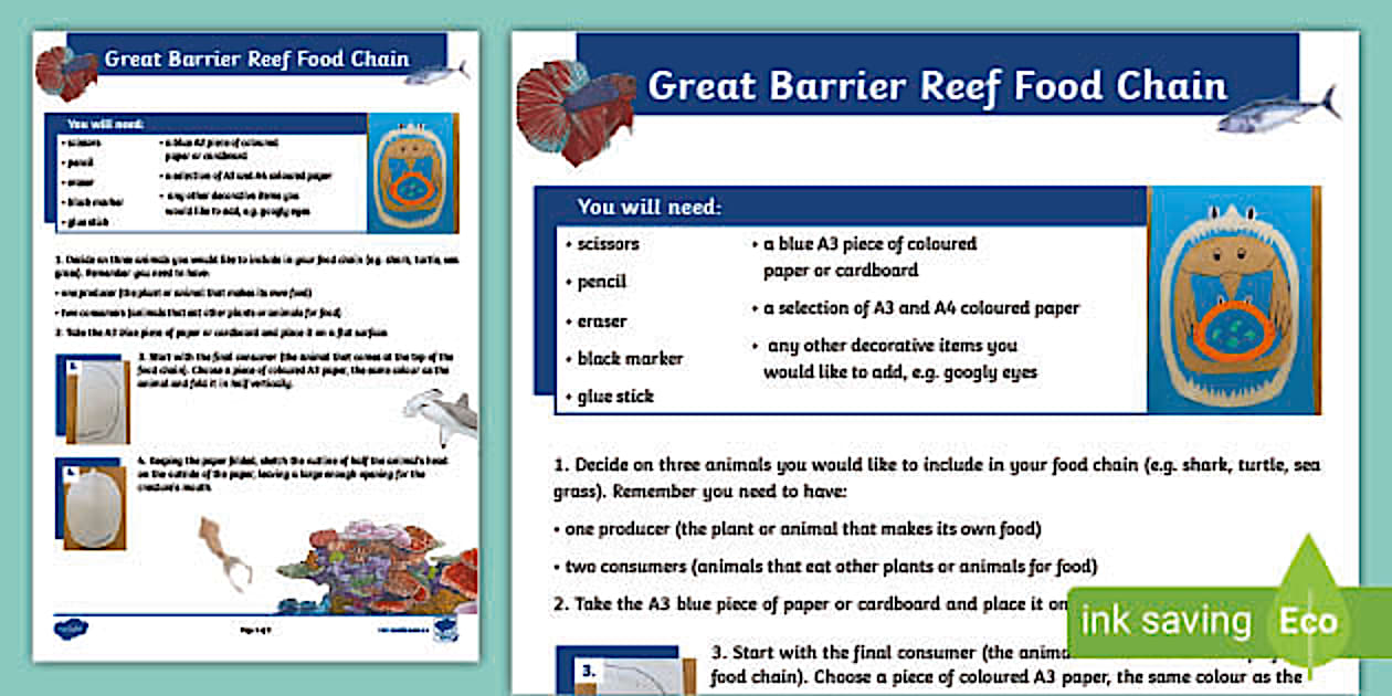 Great Barrier Reef Food Chain Craft Activity
