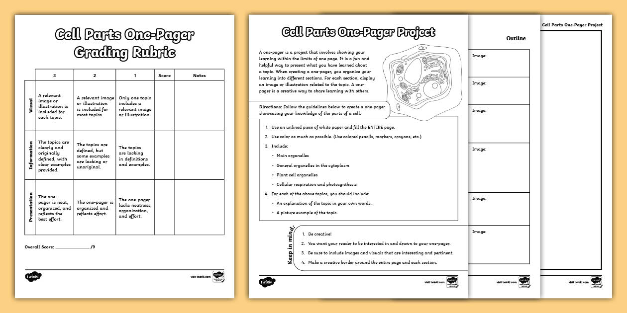 Cell Parts One-Pager Project for 6th-8th Grade - Twinkl