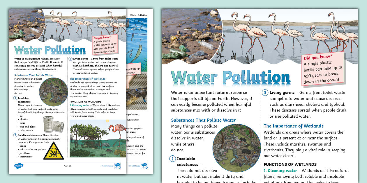 Water Pollution Notes (teacher made) - Twinkl
