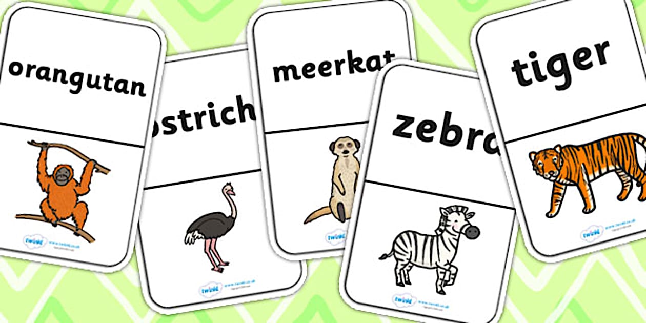 Animal Vocabulary Flash Cards for Sorting - ESL Animals Resources
