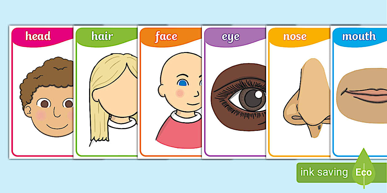 FREE! - How to Teach EYFS Children About Body Parts Posters Pack أجزاء ...