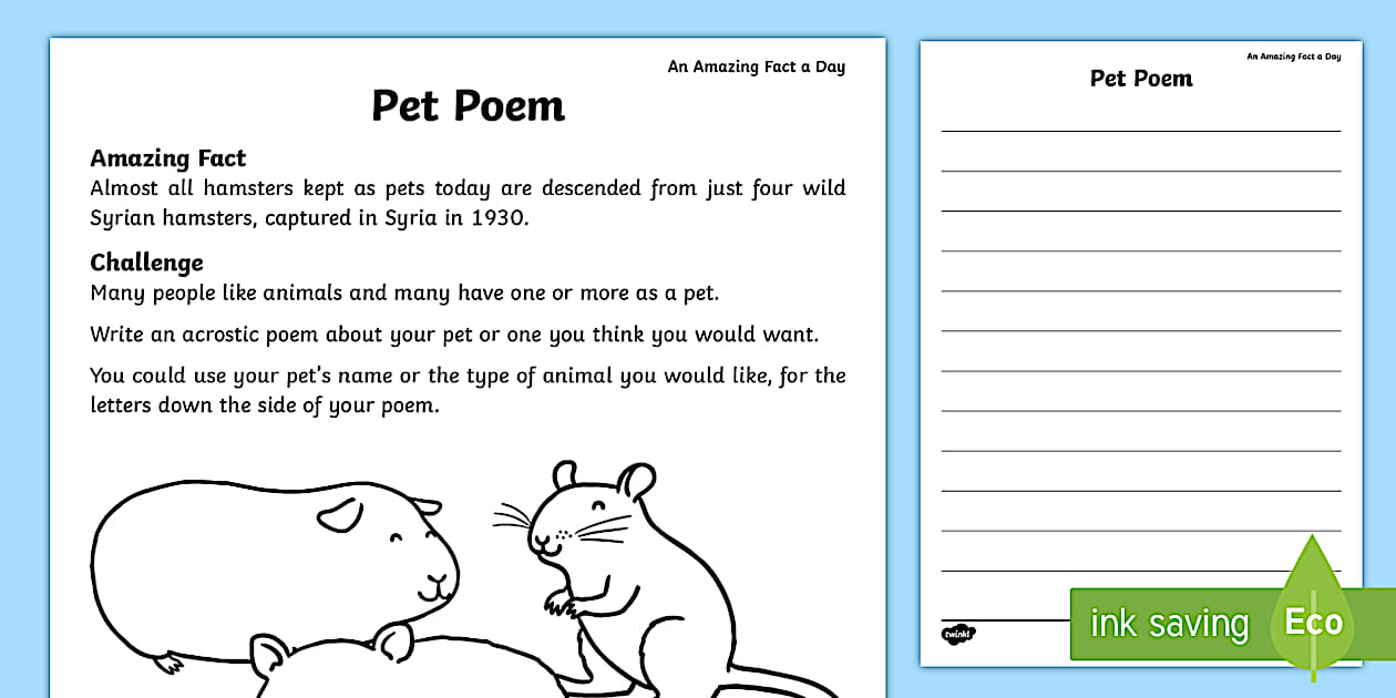 Pets Acrostic Poem Worksheet / Worksheet (teacher made)