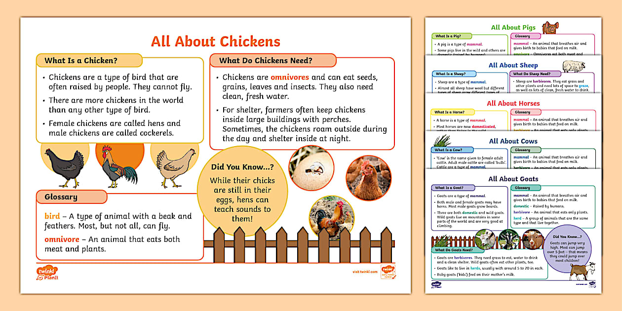 Farm Animals Fact File Pack