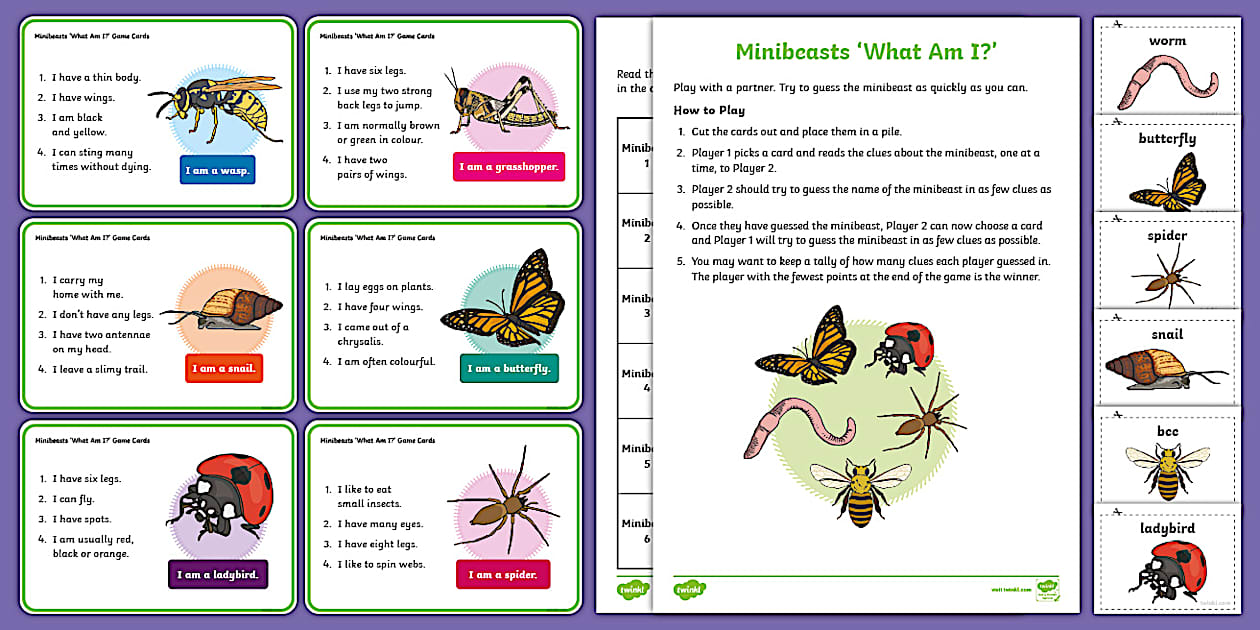 KS1 Minibeasts 'What Am I?' Game and Activity Sheet - Twinkl