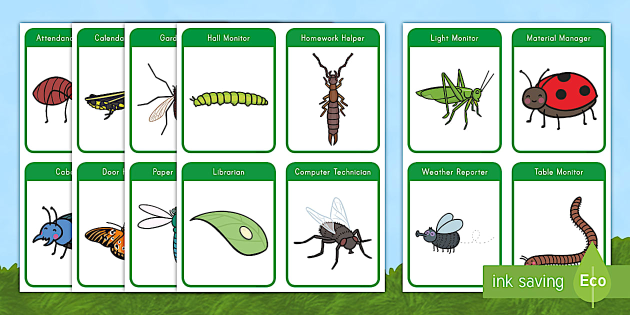 Insects Classroom Jobs Rectangle Cards (teacher made)