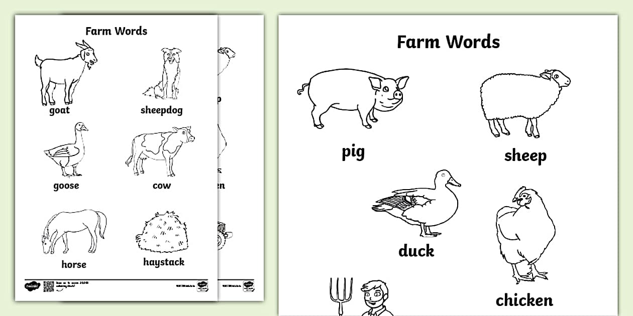 Farm Words Colouring Sheet (teacher made) - Twinkl
