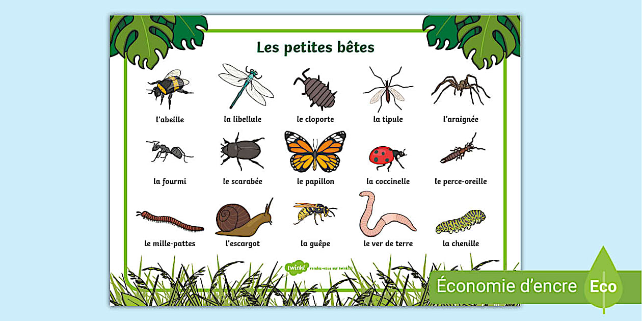 Ensemble de mots sur les petites bêtes
