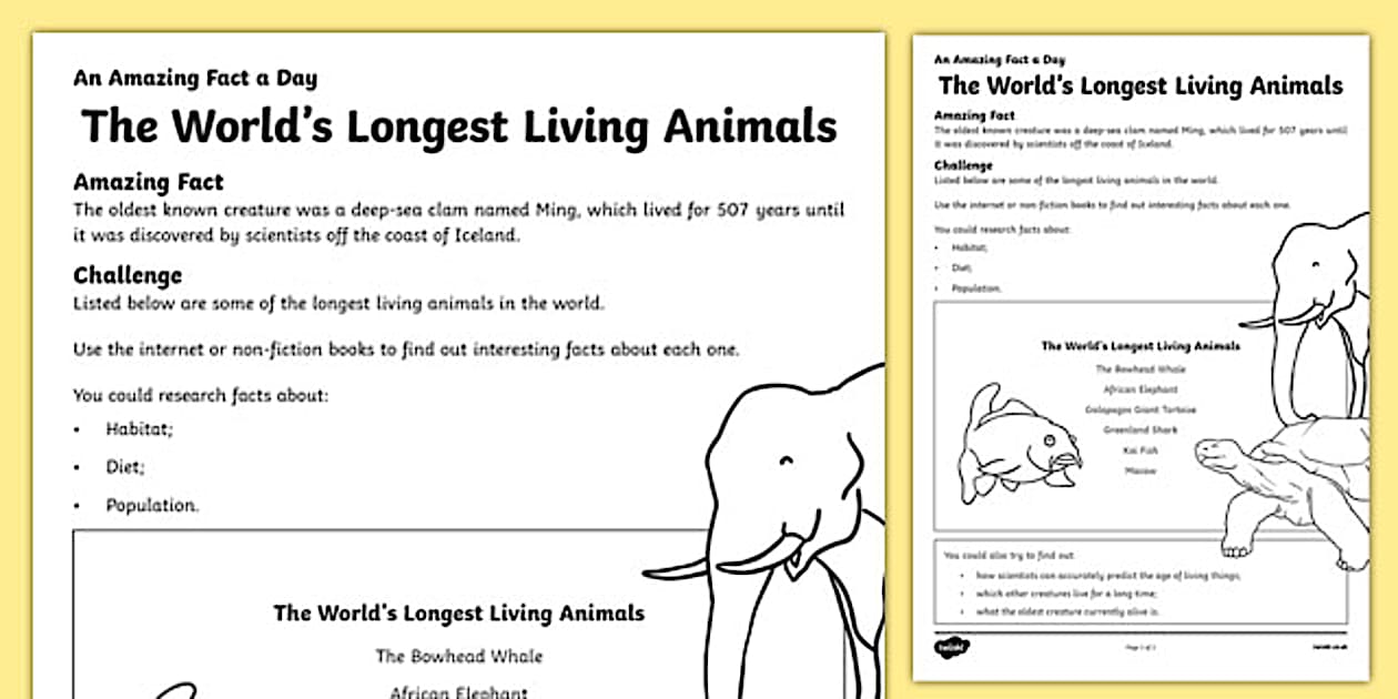 The World's Longest Living Animals Worksheet / Worksheet, worksheet