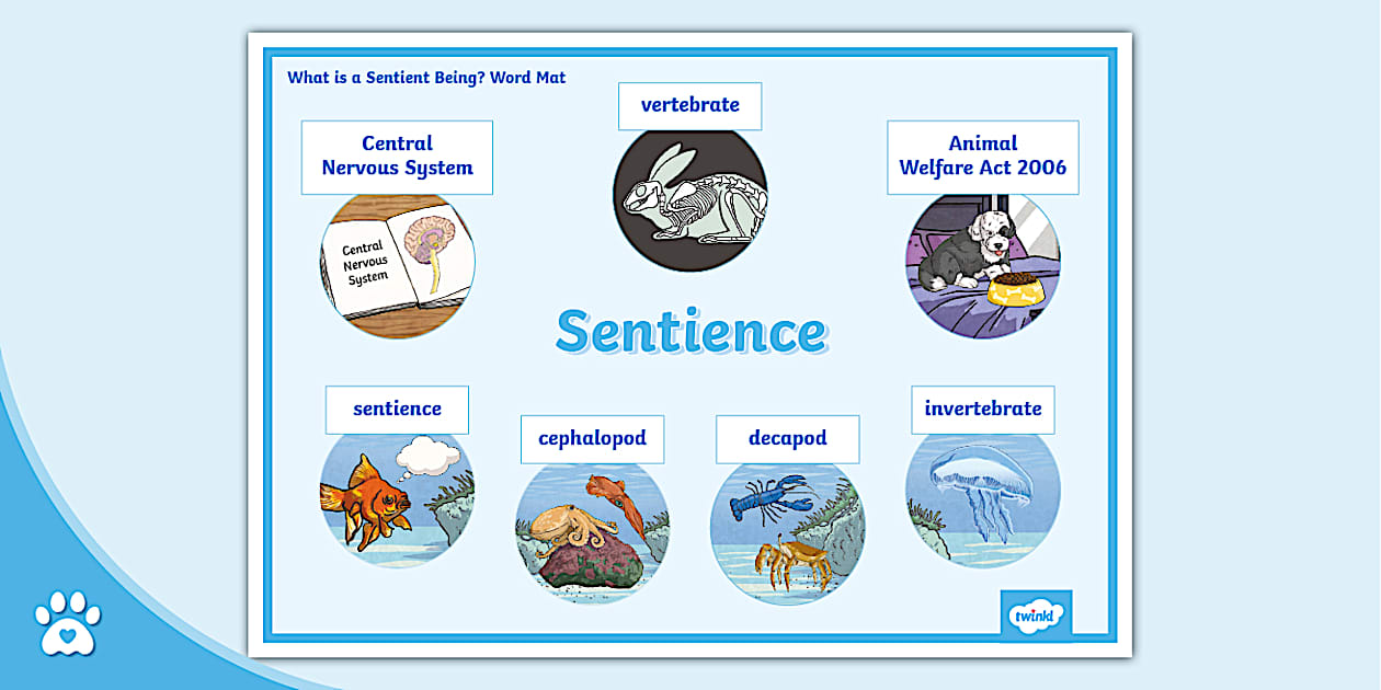What is a Sentient Being? - Word Mat - Sentience - Twinkl
