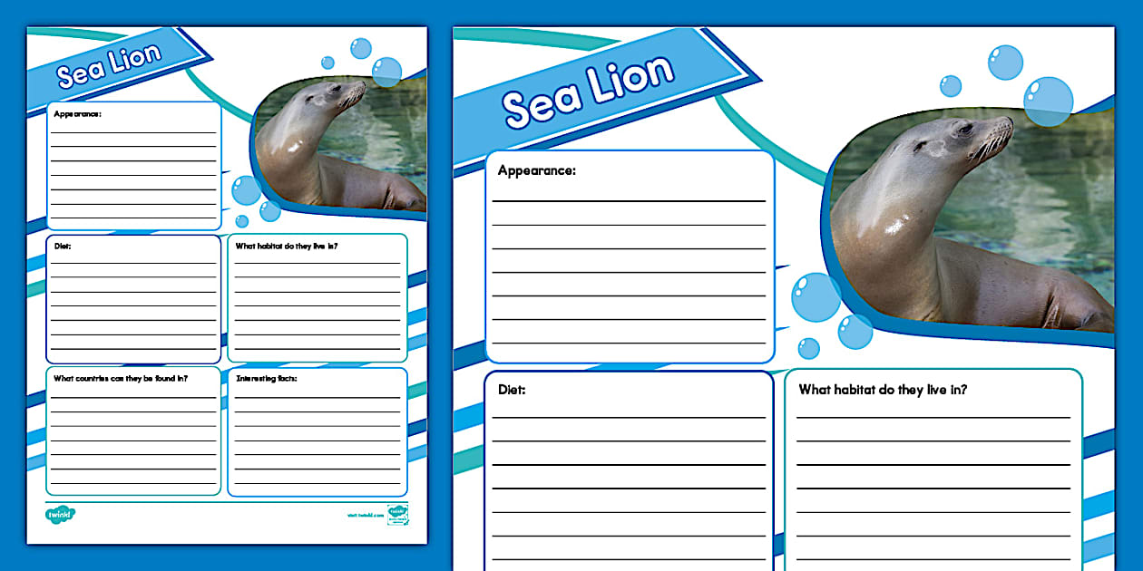 Sea Lion Research Worksheet for K-2nd Grade (teacher made)