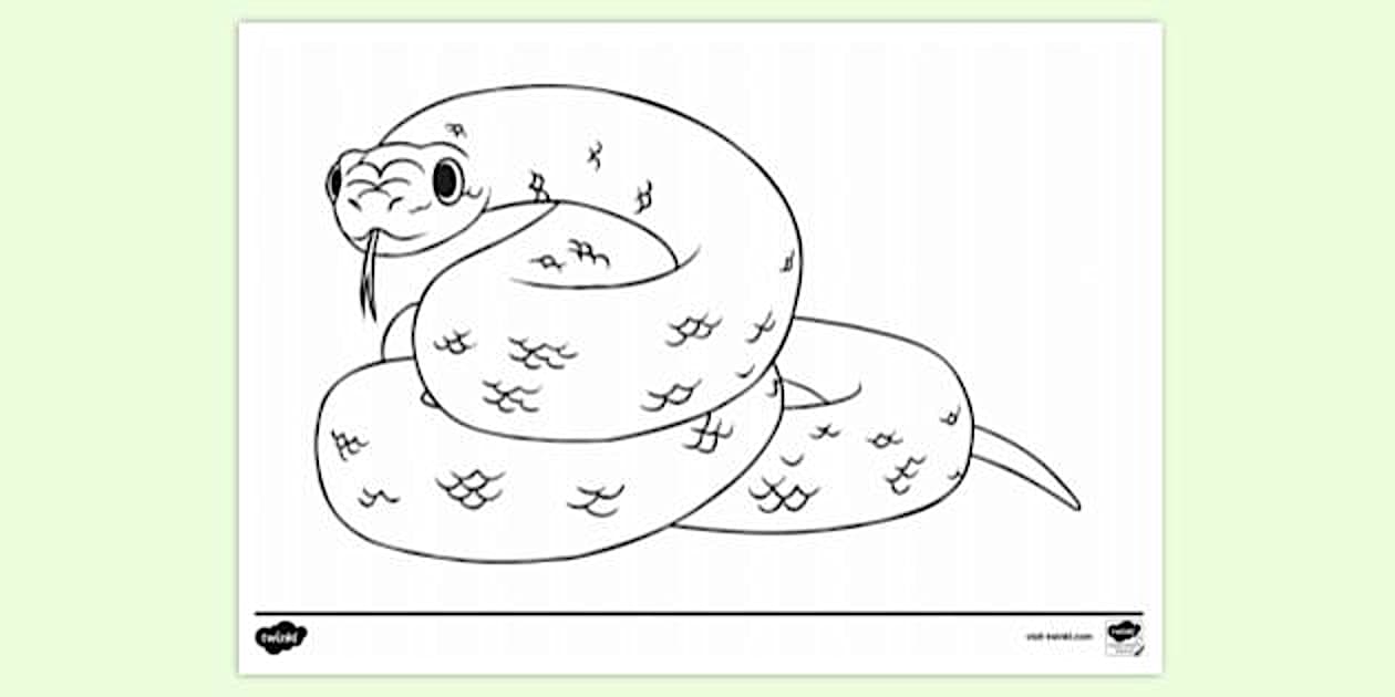 Baby Snake Colouring Page | Colouring Sheets - Twinkl