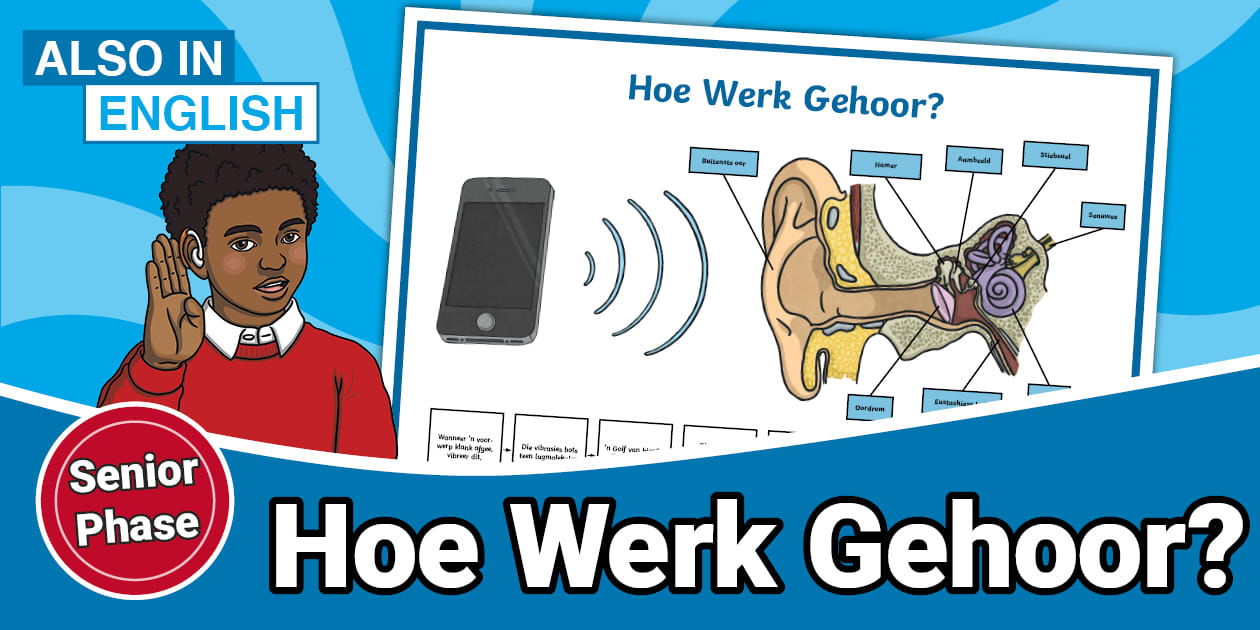 Senior Fase - Inklusiwiteit - Hoe Werk Gehoor? - Twinkl