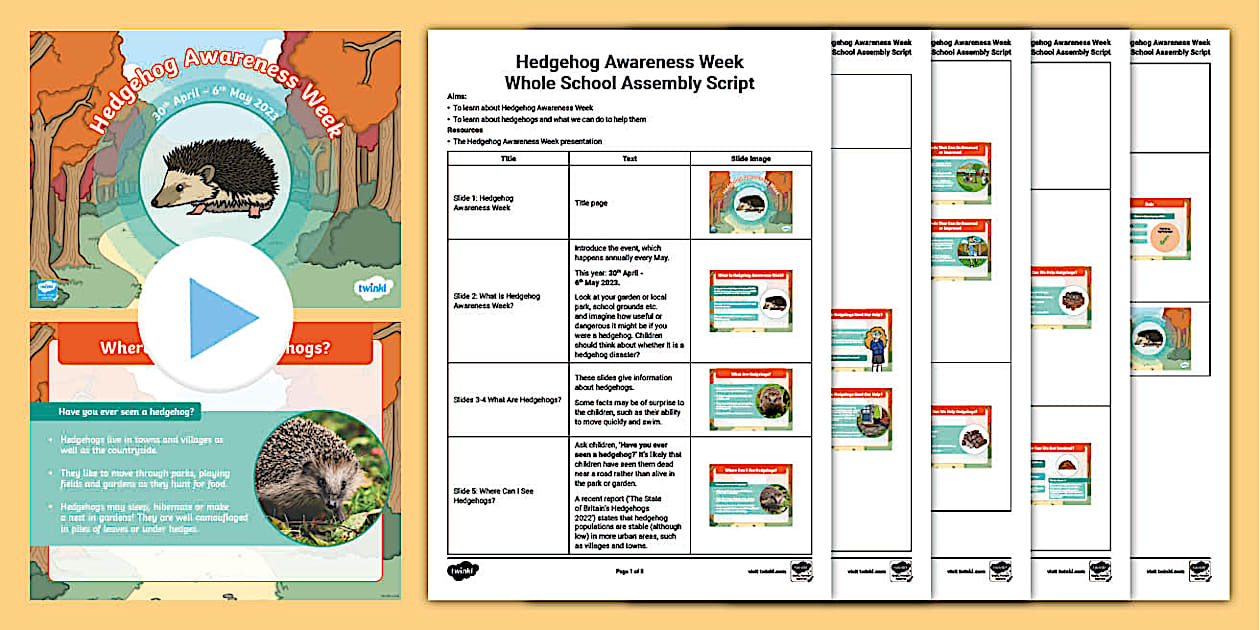Hedgehog Awareness Week Whole School Assembly Pack - Twinkl