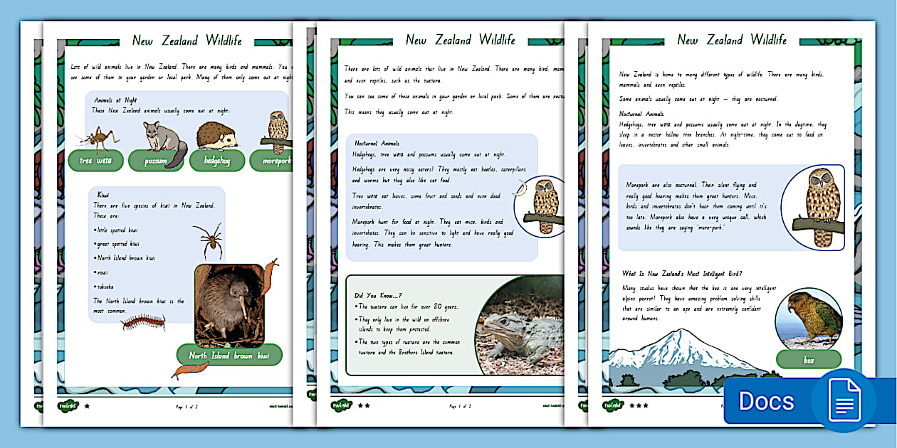 NZ Wildlife Differentiated Reading Comprehension Activity