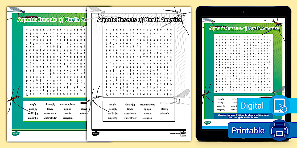 Aquatic Insects of North America Word Search for 6th-8th Grade