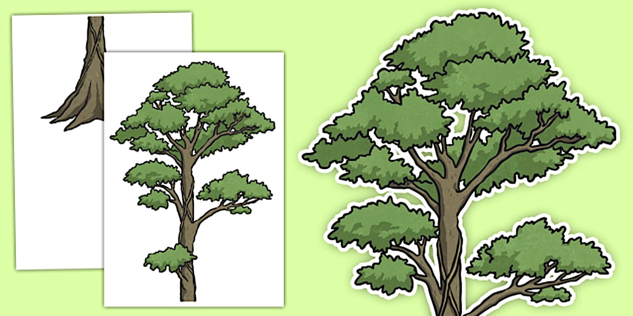 Rainforest Tree Large Display Cut-Out | Twinkl - Twinkl