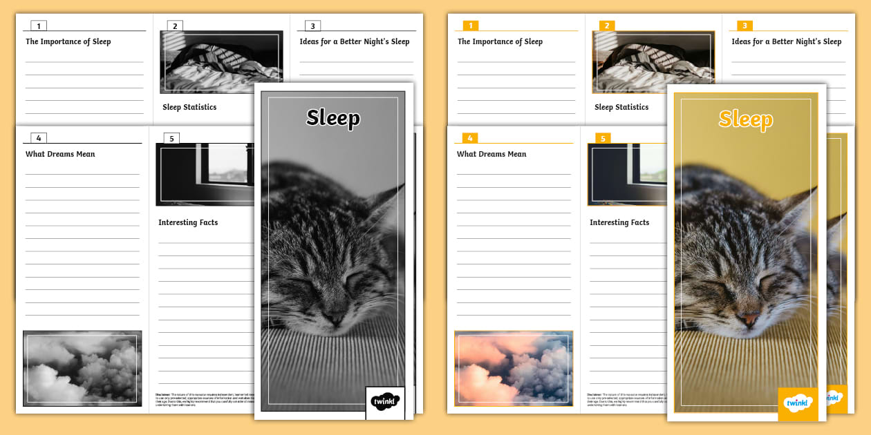 Sleep Leaflet Template - Twinkl Science (teacher made)