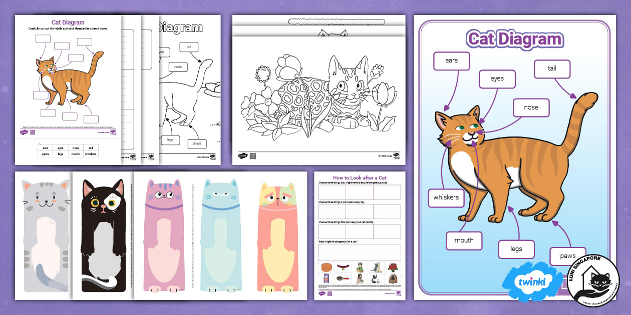 FREE! - Twinkl x LUNI Singapore: International Cat Day Activity Pack