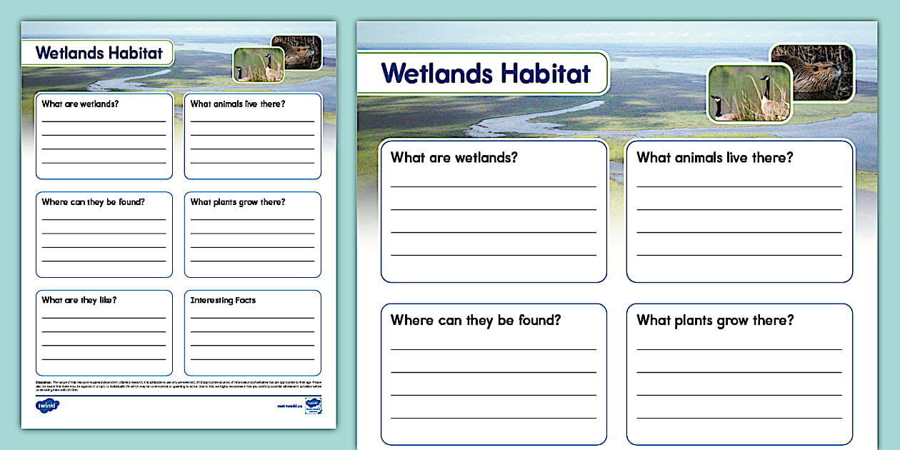 Wetlands Habitat Fact File Template (creat de profesori)