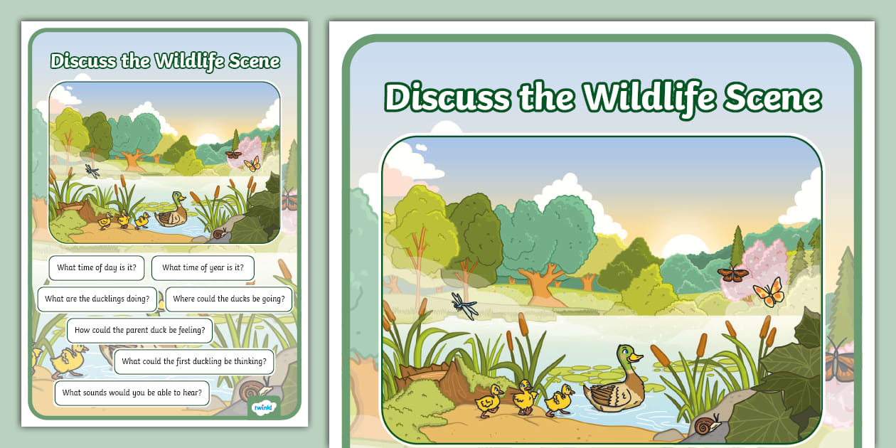 Discuss the Wildlife Scene Picture Prompt (teacher made)