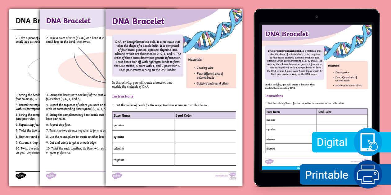 DNA Model Bracelet Craft for 6th-8th Grade (Teacher-Made)