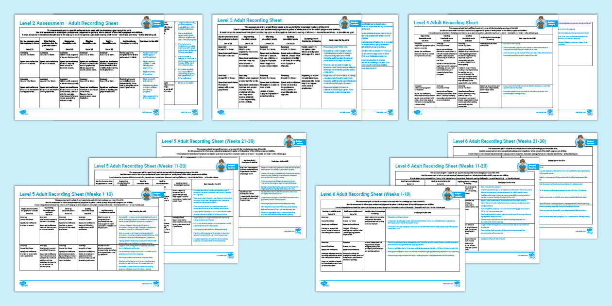 Subject Leaders Phonics Next Steps Pack- Primary Resources