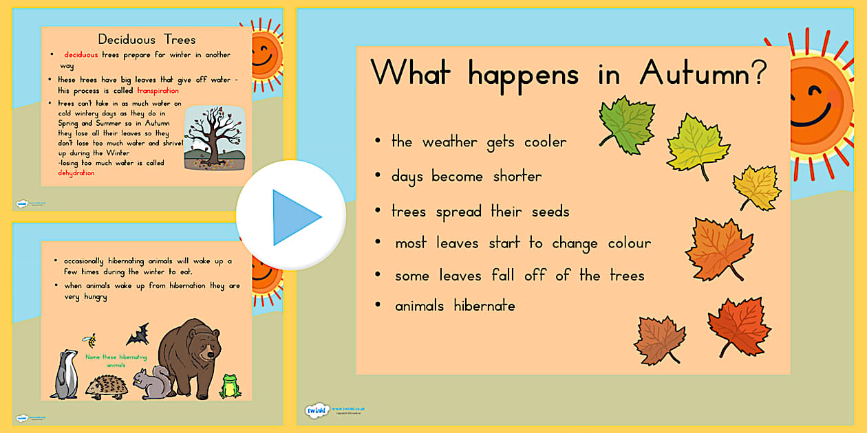 Autumn Information PowerPoint (teacher made) - Twinkl