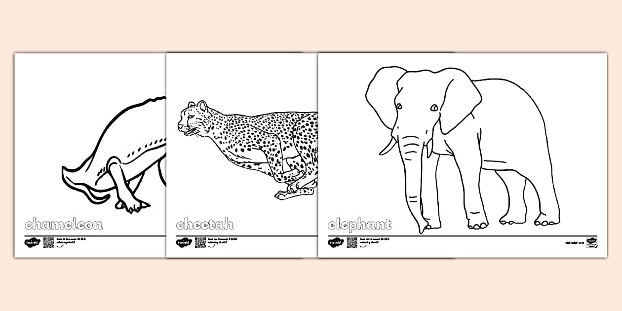 Desert Animals Colouring Sheets (teacher made) - Twinkl
