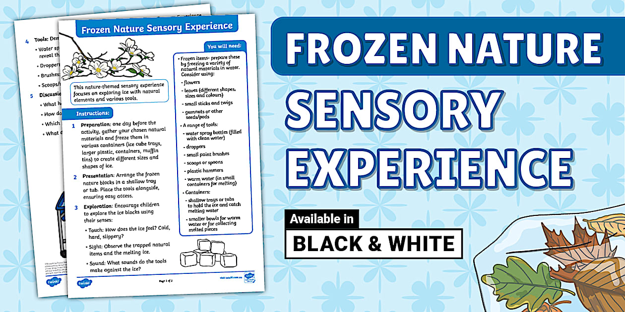 Frozen Nature Sensory Experience