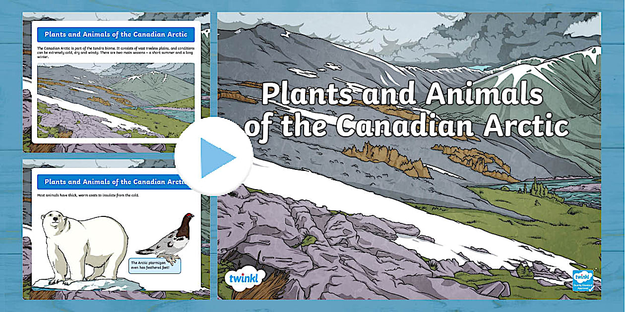 Canadian Arctic: Plants and Animal Adaptations PowerPoint