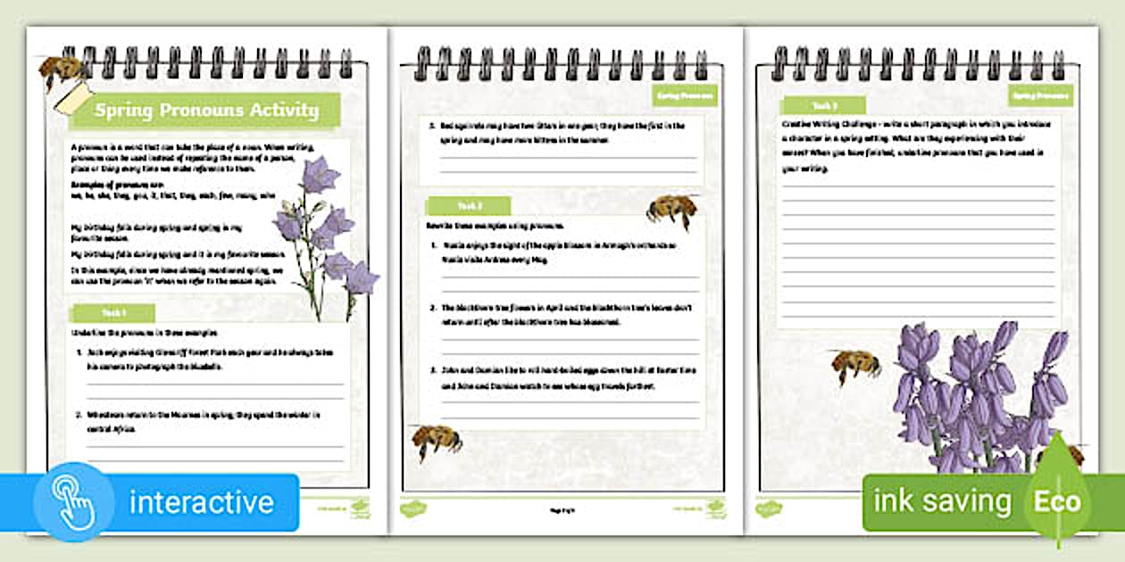 Spring Pronouns Activity (teacher made) - Twinkl