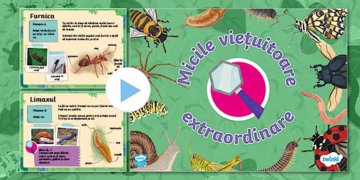Micile viețuitoare extraordinare – Prezentare PowerPoint