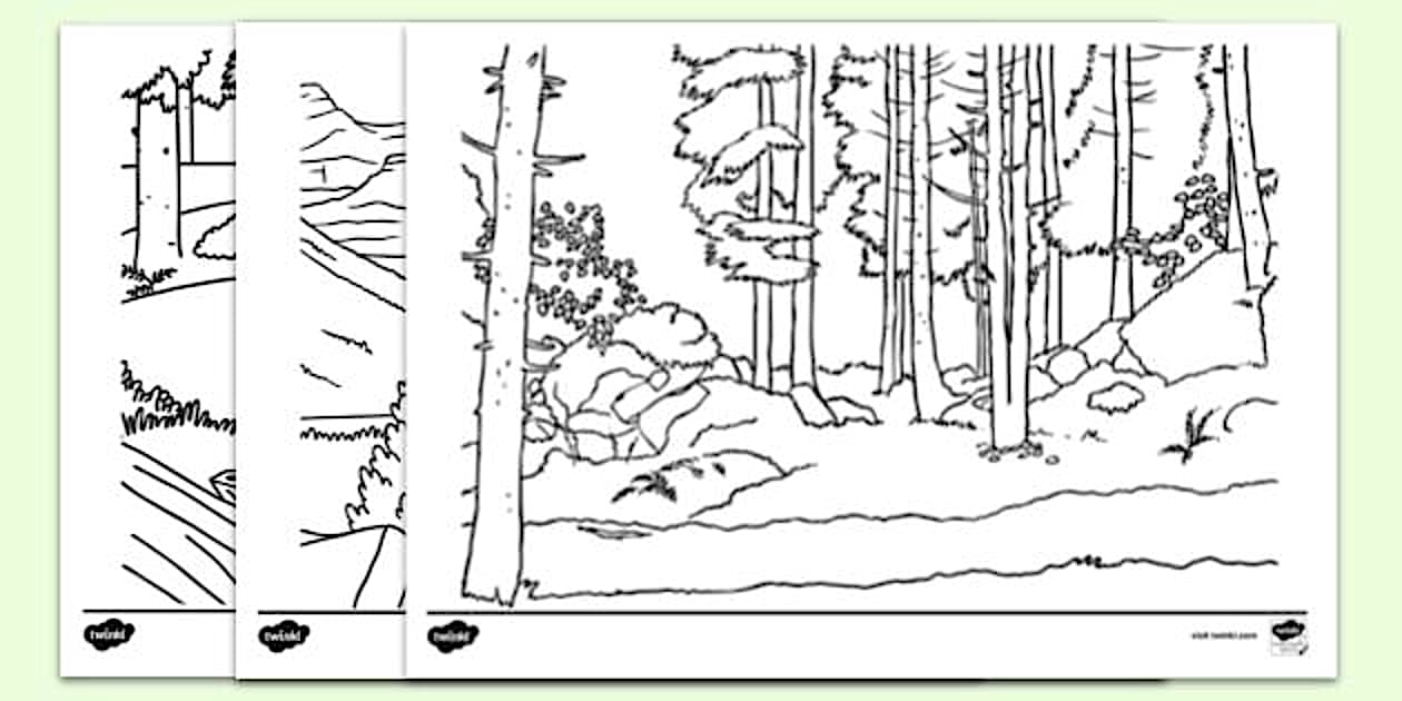 Printable Forest Colouring Pages | Woodland Colouring Sheets